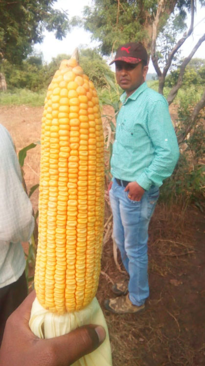 Gallery | CORNTECH SEEDS Family