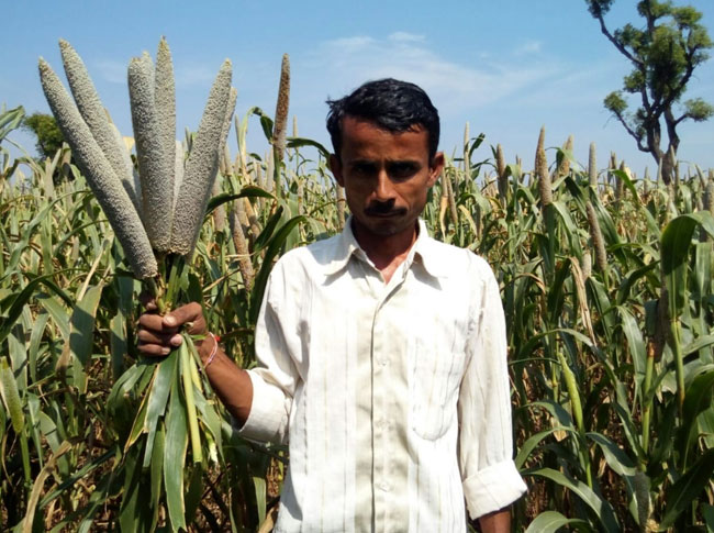 Gallery | CORNTECH SEEDS Family