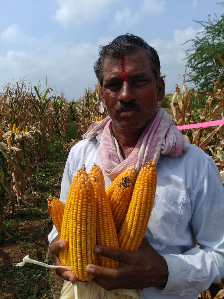 Gallery | CORNTECH SEEDS Family